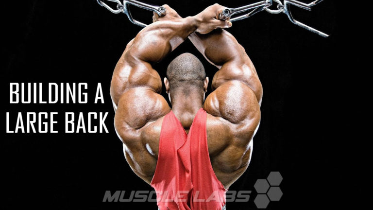 Wide Back Workout - Achieving The V Taper Physique | Muscle Labs USA