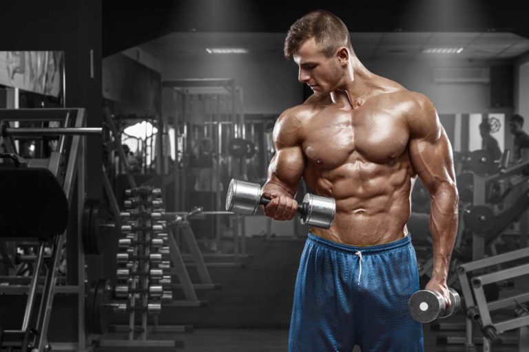 Muscle Building Stacks | Muscle Labs USA