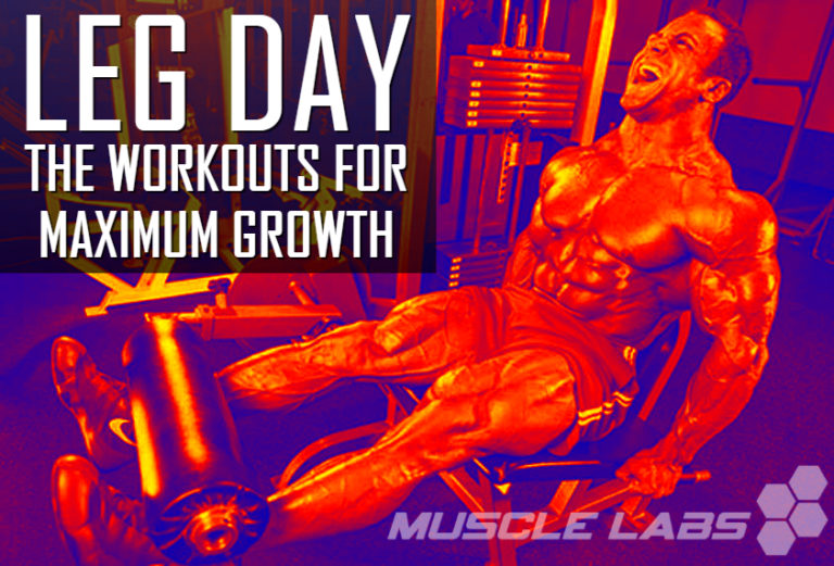 Leg Exercises - For Strength and Mass | Muscle Labs USA
