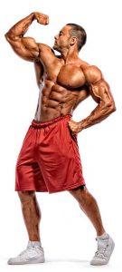 Supplement Cycling For Muscle Gain | Muscle Labs USA