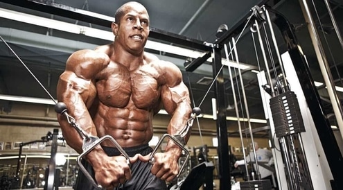 Chest Workout For Mass - How To Get Pecs | Muscle Labs USA